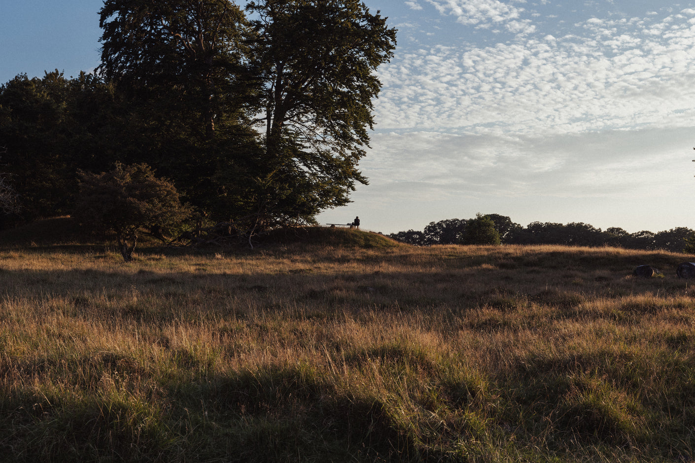 About Us – Louvelle